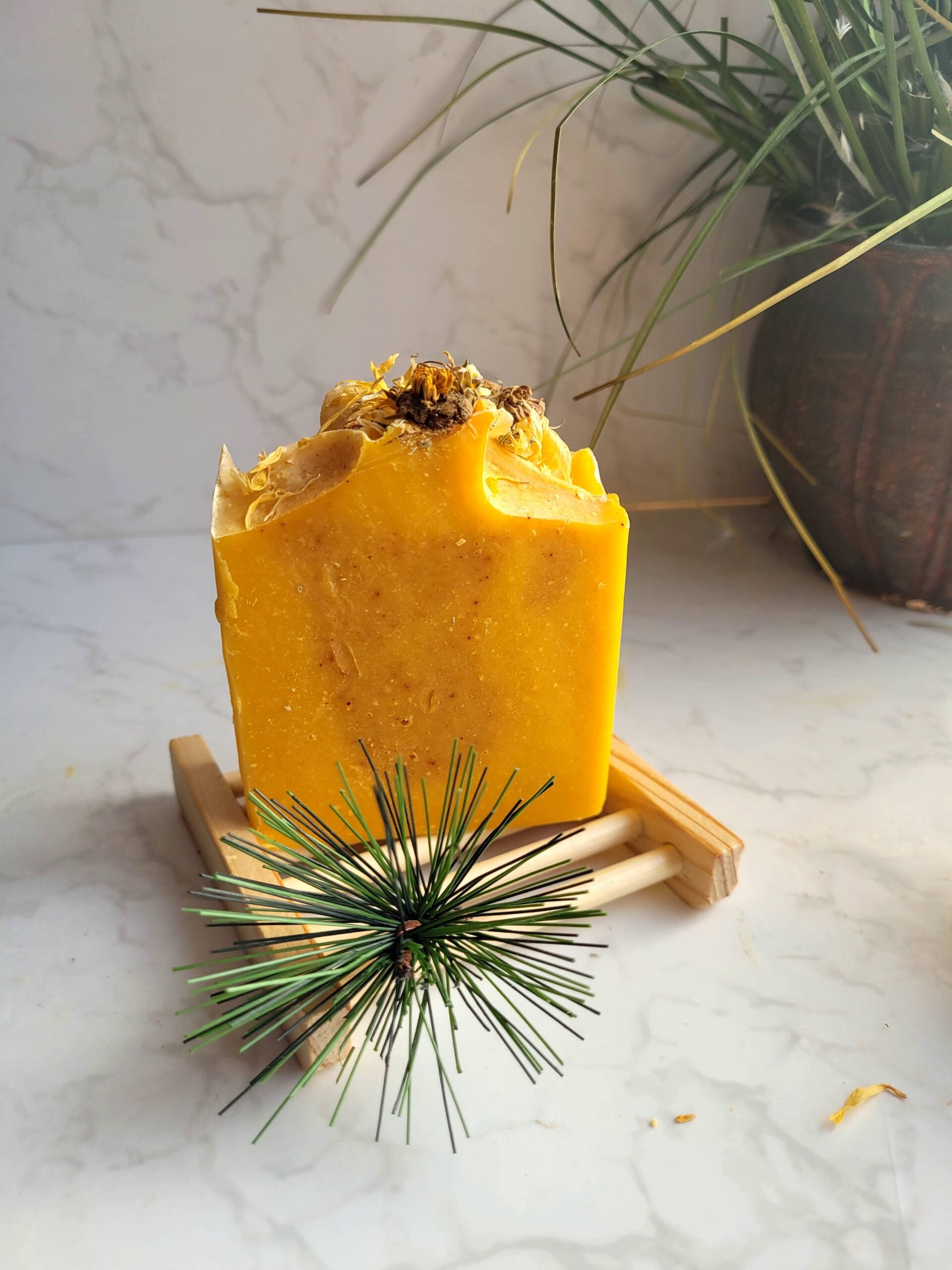 Zesty Glow bar – Paula Marie Skincare